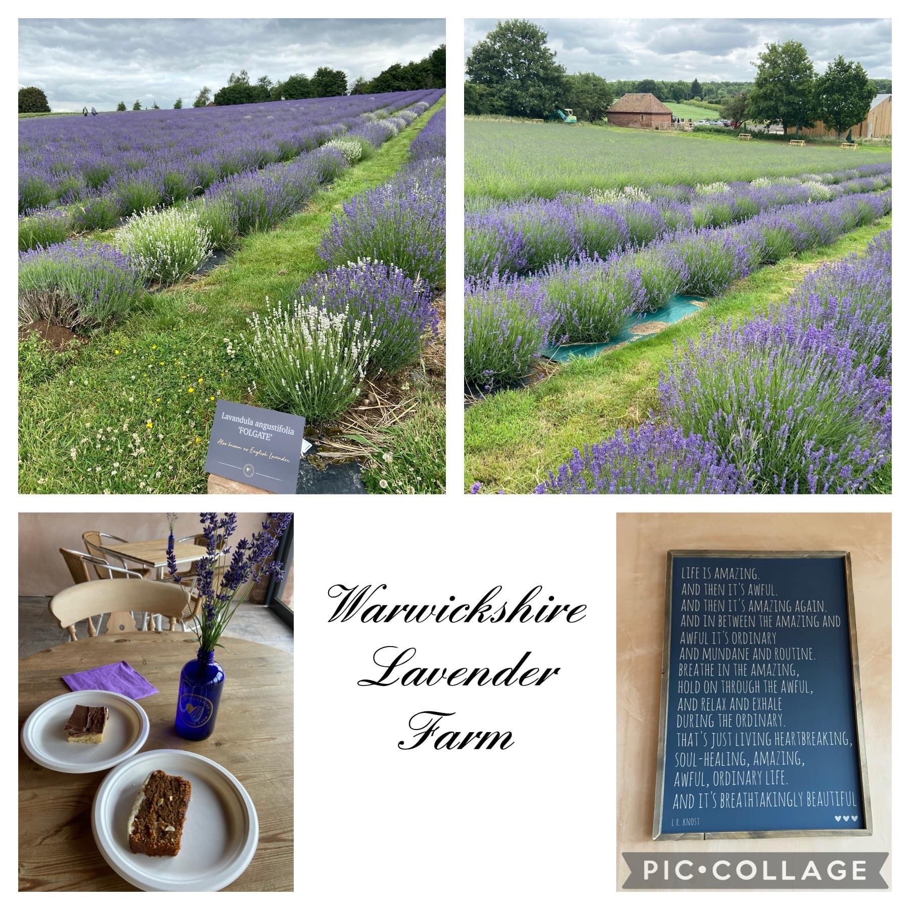 Lavender Cafe - Warwickshire Lavender Farm